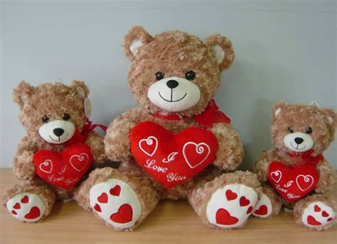 Small Teddy Bear Blooms Of Warwick