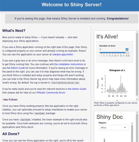 shiny server throws an error shiny posit community