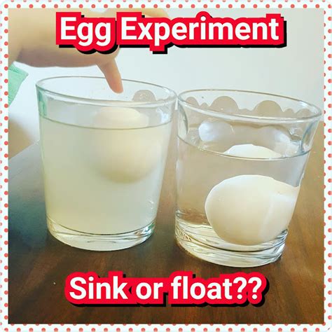 Harry And The Purple Crayon Egg Experiment Sink Or Float