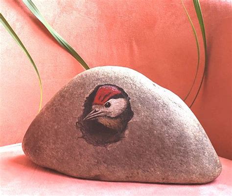 Unique Rock Garden Decor Ideas