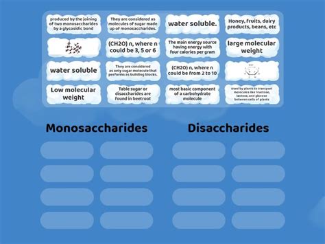 Monosaccharides Vs Disaccharides Group Sort