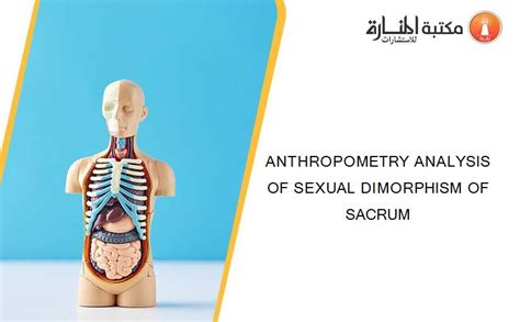 Anthropometry Analysis Of Sexual Dimorphism Of Sacrum