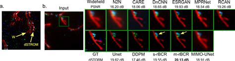 240703239 Solving The Inverse Problem Of Microscopy Deconvolution
