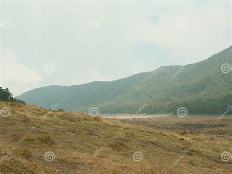 A Blurry Image Of A Grassy Field With A Mountain In The Background
