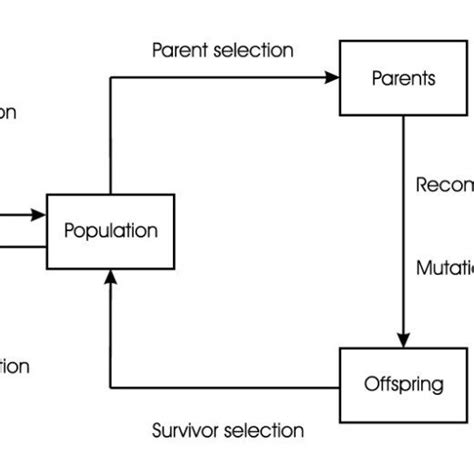 Genetic Algorithm Flow Download Scientific Diagram