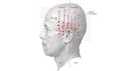 Scalp Acupuncture Herbs And Touch