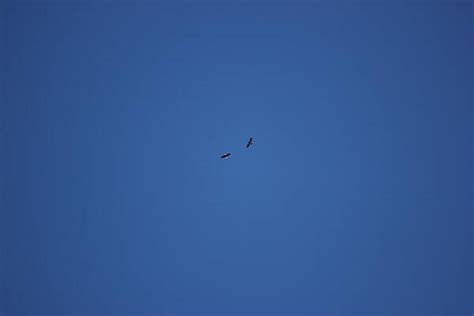 Tantum Art For Sale Fine Art America