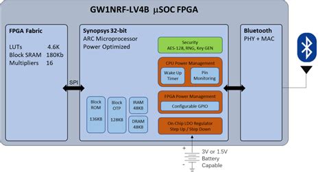 GOWIN GW NRF FPGA Comes With Bluetooth LE Radio Bit ARC MCU CNX Software