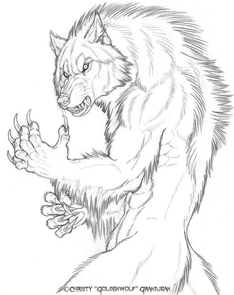 Drawings Of A Werewolf Drawing Skills Academy