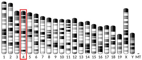 Calmodulin Binding Transcription Activator 1 Wikipedia