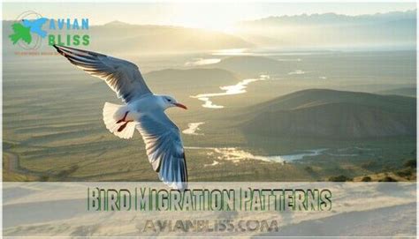 Bird Facts About Their Migration Patterns 7 Mind Blowing Journeys Revealed