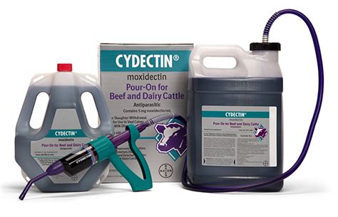 Tips For Combatting Winter Lice In Beef Cattle