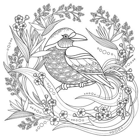 Bird Coloring Pages Free Printable Educational Printable Worksheets