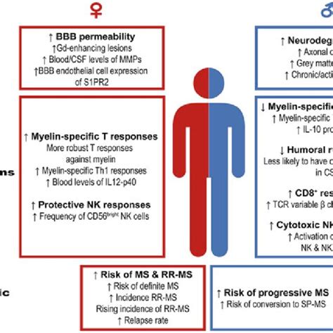 Summary Of Sex Differences In Clinical Course CNS Mechanisms And Download Scientific Diagram