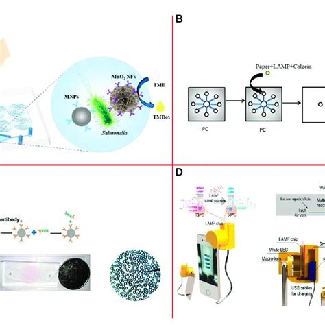 Summary Based On Detection Methods Of Foodborne Pathogenic Bacteria Download Scientific Diagram