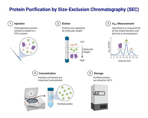 Chromatography Principle Types Steps Uses Diagram