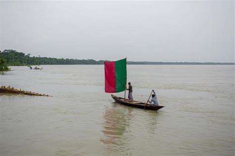 Fall Treeline Stock Photos Images And Backgrounds For Free Download