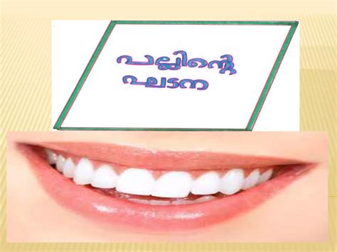 Teetch Power Point Pptx Oral Care Personal Care