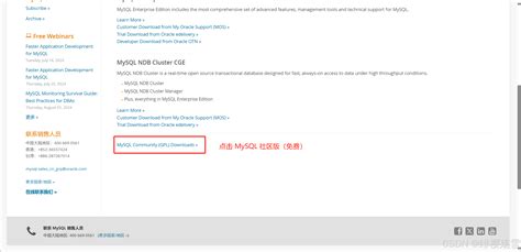 mysql and navicat 安装及配置教程（windows）【安装】 navicat下载安装和配置 csdn博客