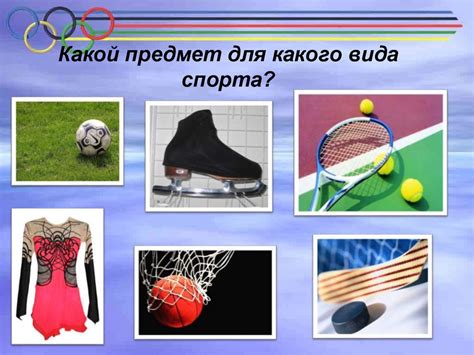 Виды спорта презентация онлайн