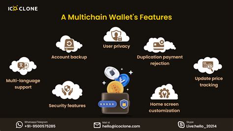 A Beginners Guide To Multichain Crypto Wallet Why Do You Need One