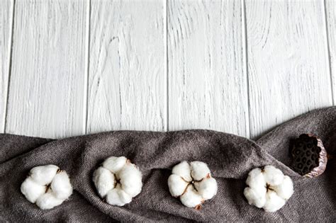 실제 목화 꽃 회색 모직 직물 및 나무 배경에 연꽃 배너 프레임 인사말 카드에 대 한 기초입니다 꽃이 있는 텍스트 프레임 0명에 대한 스톡 사진 및 기타 이미지 Istock