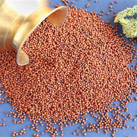 ওজন কমাতে চান তাহলে অবশ্যই বাজরার তৈরি খাবার খান। বিশেষত সকালের