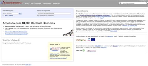 10 Ensemblbrowser