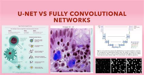 comparative analysis of u net and fully convolutional networks for