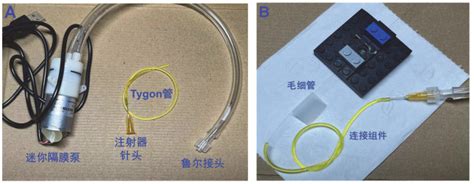 开放式仪器分析教学实验设计——基于lego积木的模块化激光诱导荧光检测系统的构建