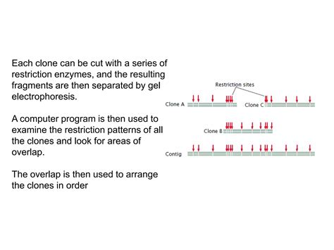 Structural Genomics Ppt