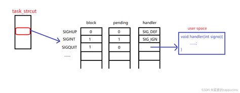Linux操作系统中的信号剖析， Csdn博客