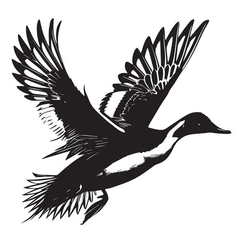 Northern Pintail Silhouette Wild Duck Clipart Northern Pintail Flying