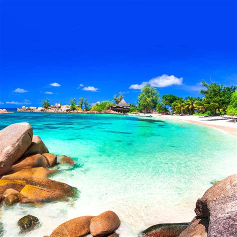 Beautiful Sandy Beach With A Teal Colored Ocean In Seychelles Africa