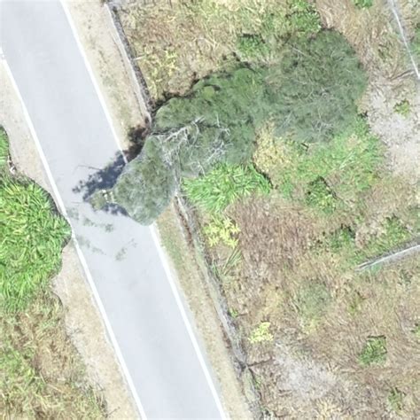 2020 Instance Segmentation Dataset By Coastline