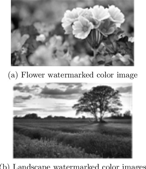Figure 1 From Research On Image Digital Watermarking Optimization Algorithm Under Virtual