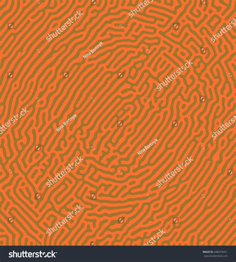 Biological Vector Turing Reaction Diffusion Pattern Stock Vector