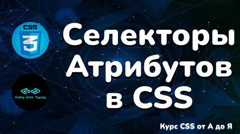 Селекторы атрибутов в Css Attribute Selectors In Css Курс Css от