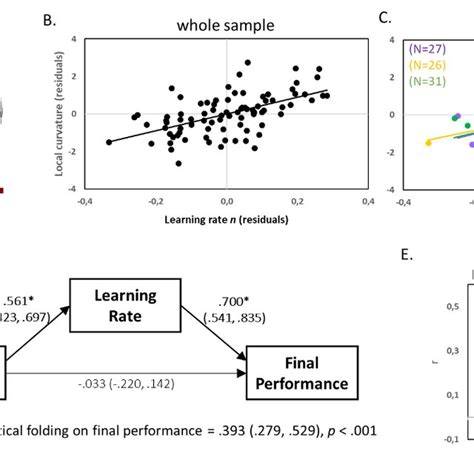 Cortical Folding Predicts Learning Download Scientific Diagram