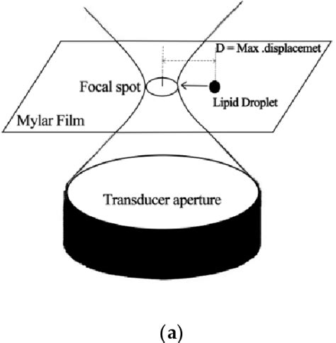 Figure 1 From Review Of Ultrasonic Particle Manipulation Techniques Applications And Research