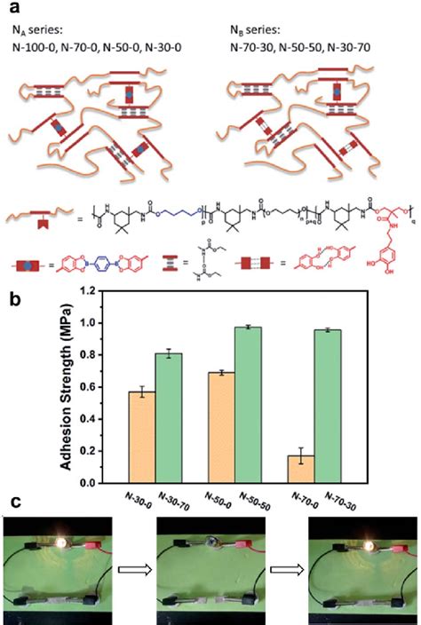A Structures Of Elastomers With Pendent Catechol Groups N A No Download Scientific Diagram