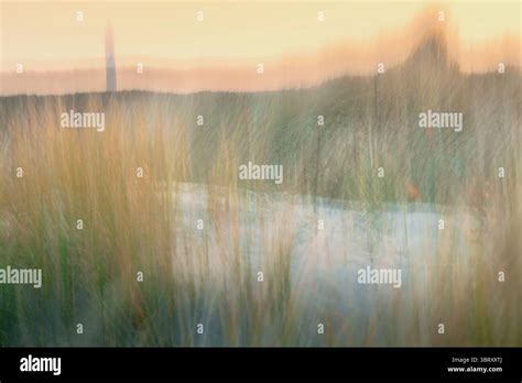 An Artistic Motion Blurred Photograph Captures The Soft Ethereal