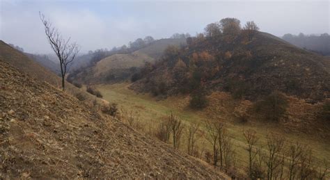 Zagajička Brda 19 03 Psd Stara Pazova