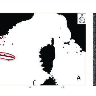 Example Of Radio Frequency Interference Rfi In Detections On A Sar Download Scientific