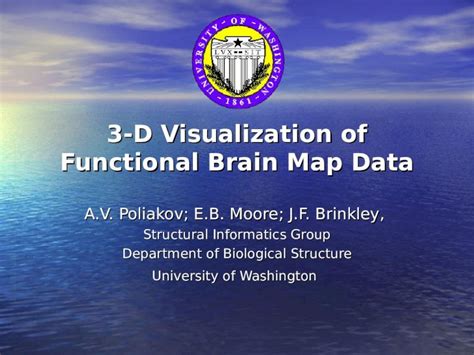 PPT D Visualization Of Functional Brain Map Data DOKUMEN TIPS