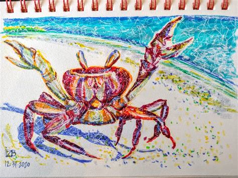 How To Draw A Crab Inspiration Sketch A Day