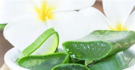 Диффузная фиброзно-кистозная мастопатия молочных желез