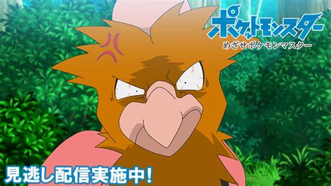ポケモン公式ツイッター On Twitter ポケモン公式youtubeチャンネルでは、アニメ「ポケットモンスター めざせポケモンマスター