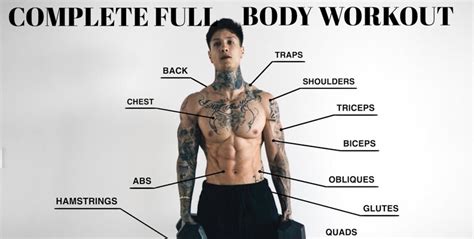 The Ultimate Gym Exercises Dataset For All Levels Kaggle