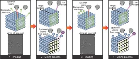 Sequential Imaging And Milling Processes Of FIB SEM Tomography Download Scientific Diagram